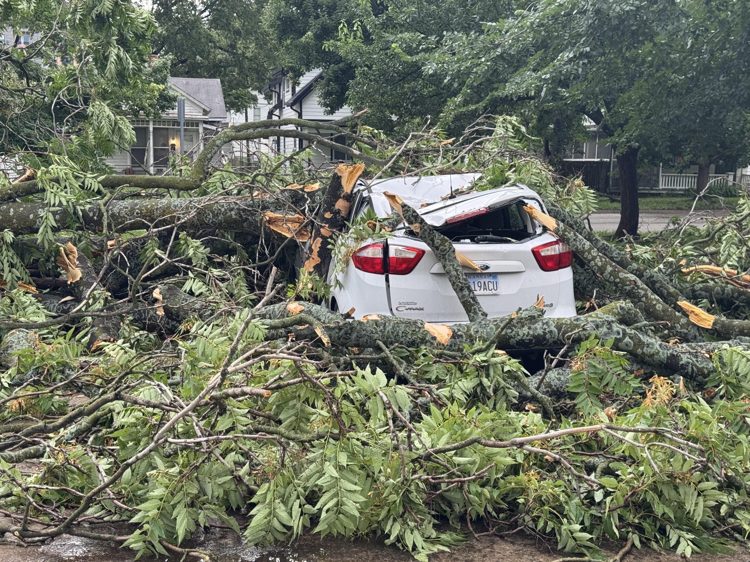 Overnight storm produces local damage; high winds down trees, homes in ...